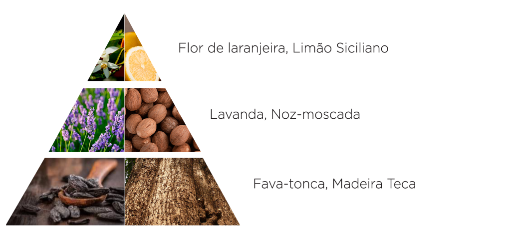 Intense – Br Brand Imports